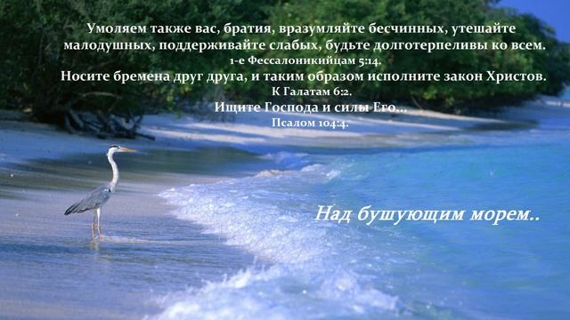 Над бушующим морем..