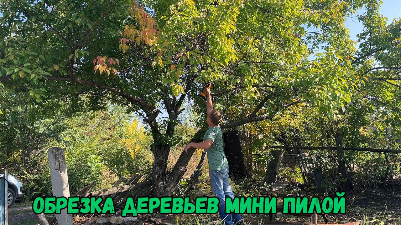 Обрезка деревьев мини пилой