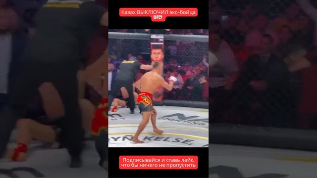 Казах ВЫКЛЮЧИЛ экс-бойца UFC! #fight #mma #popmma #reels #ufc #ufc4
