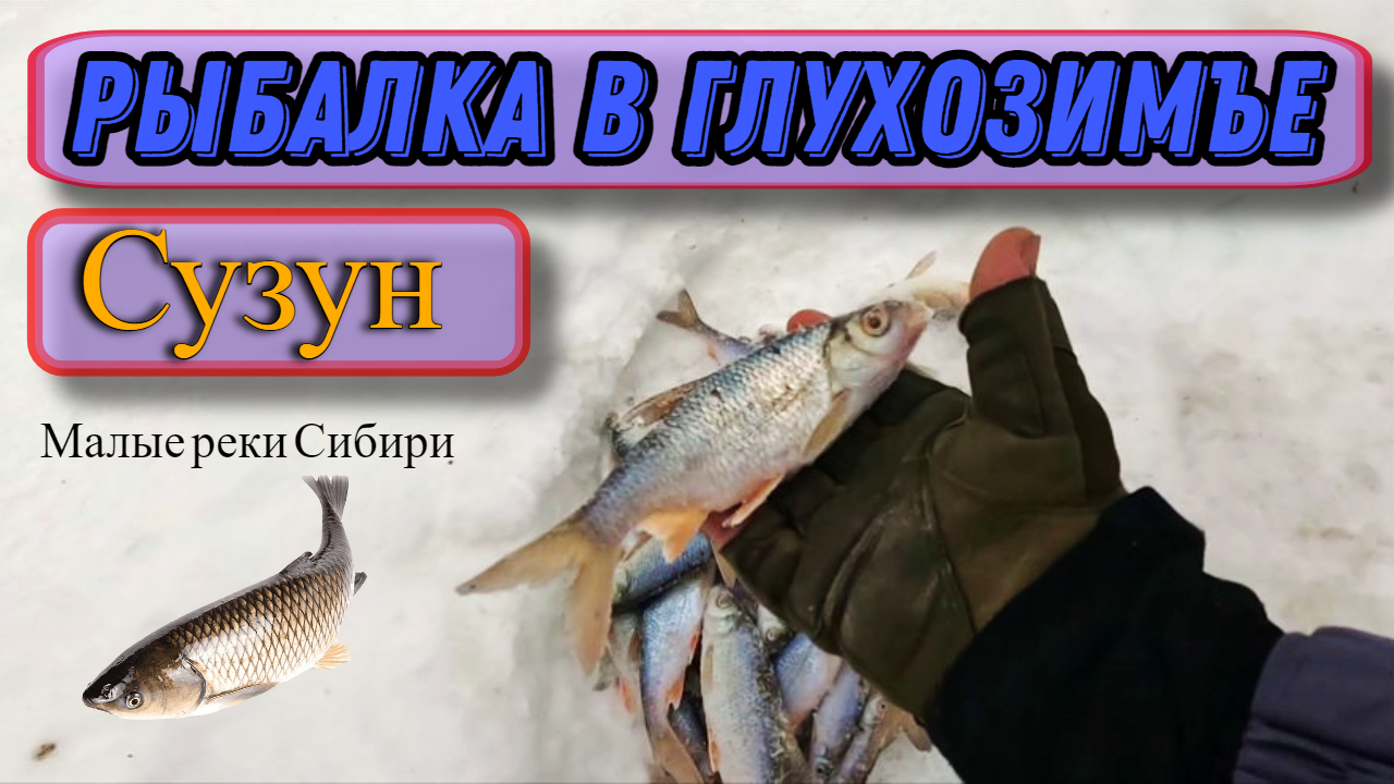 Рыбалка (Сузун) 16 января 2023г. Глухозимье , слом погоды.