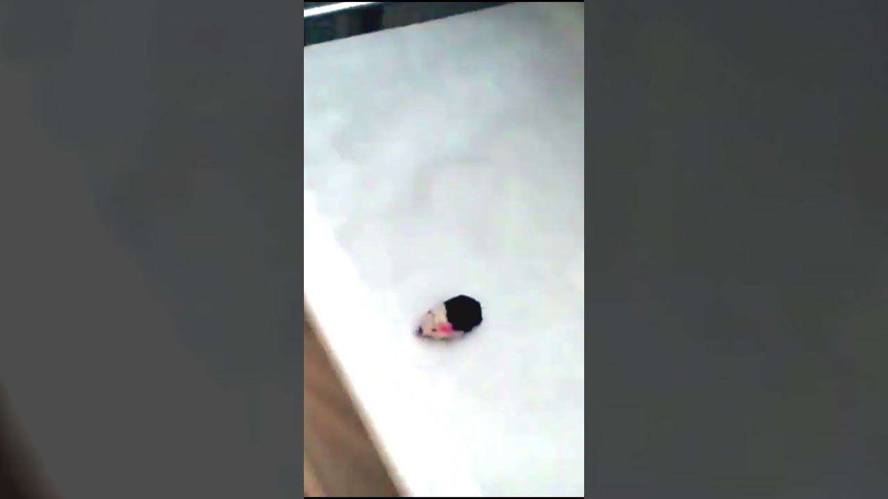 Кошачий волейбол #shorts #short #shortvideo #shortsvideo #кот #кошки #cat #cats #catlover #catvideos