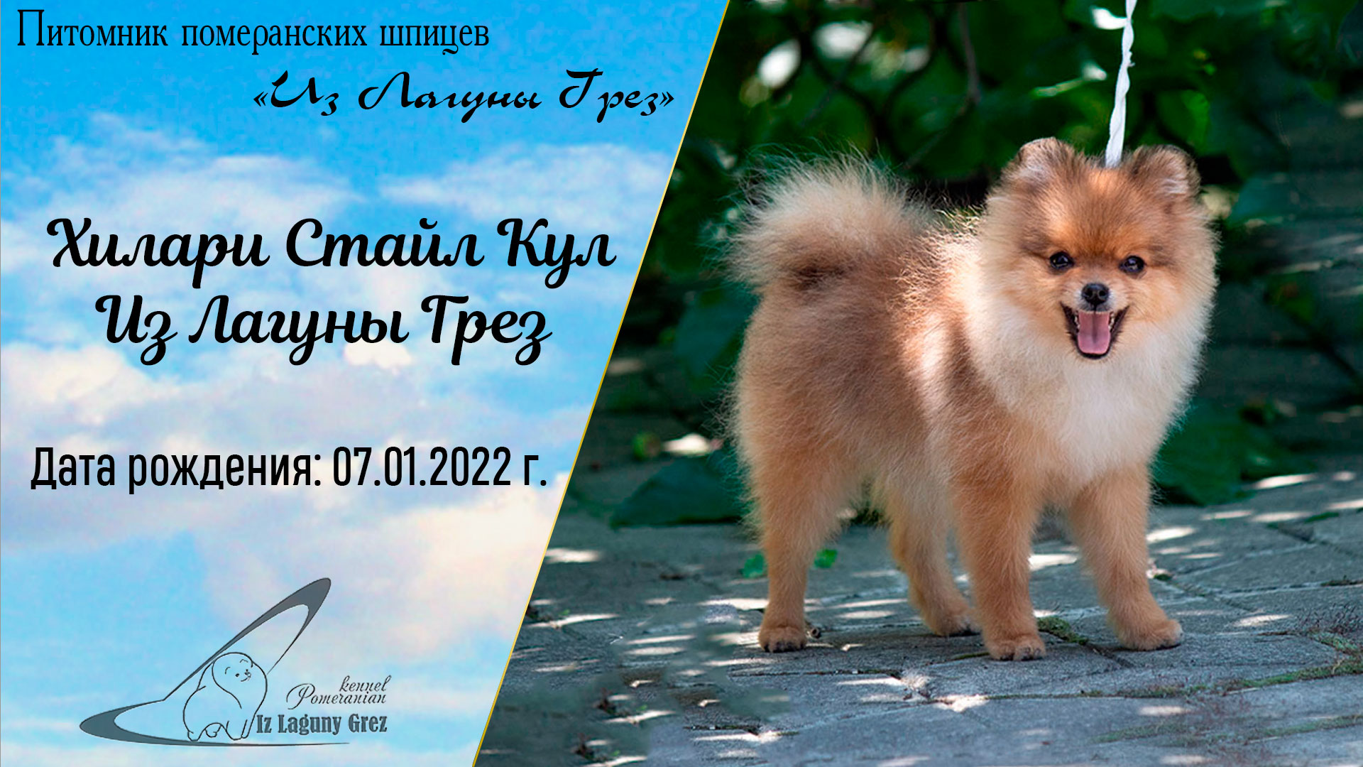 Хилари Стайл Кул Из Лагуны Грез