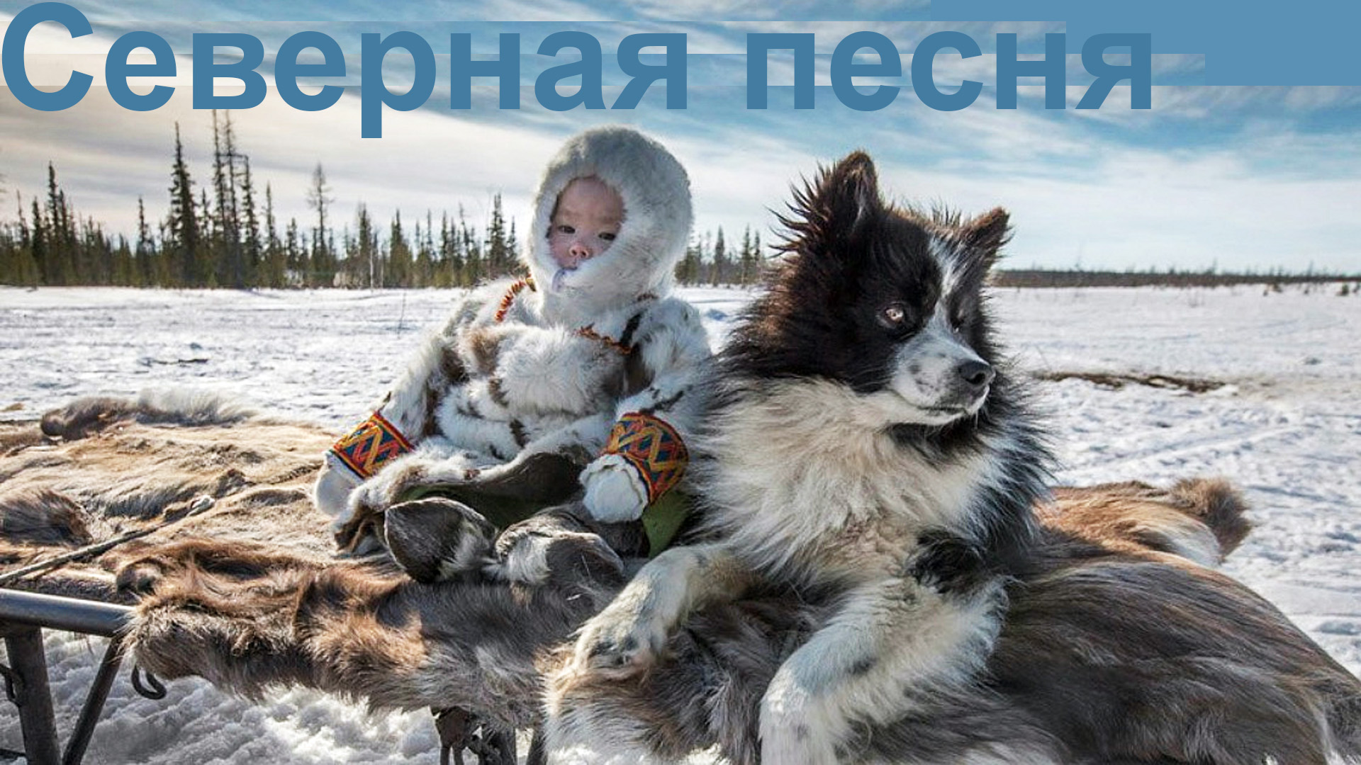 Северная песня.  Норильску