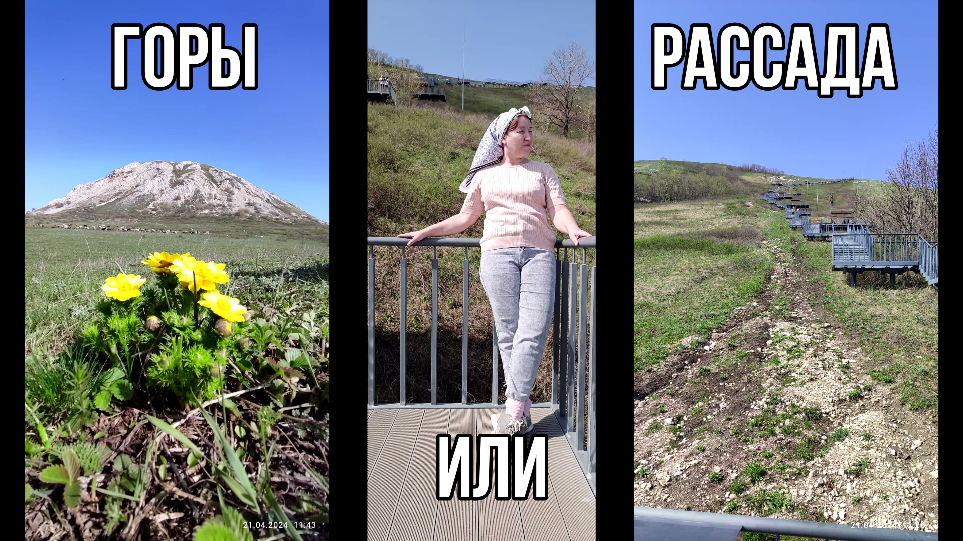 4 дня в темноте. Что с рассадой...