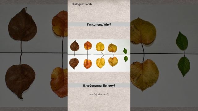 I`m_curious_Why_RU-EN