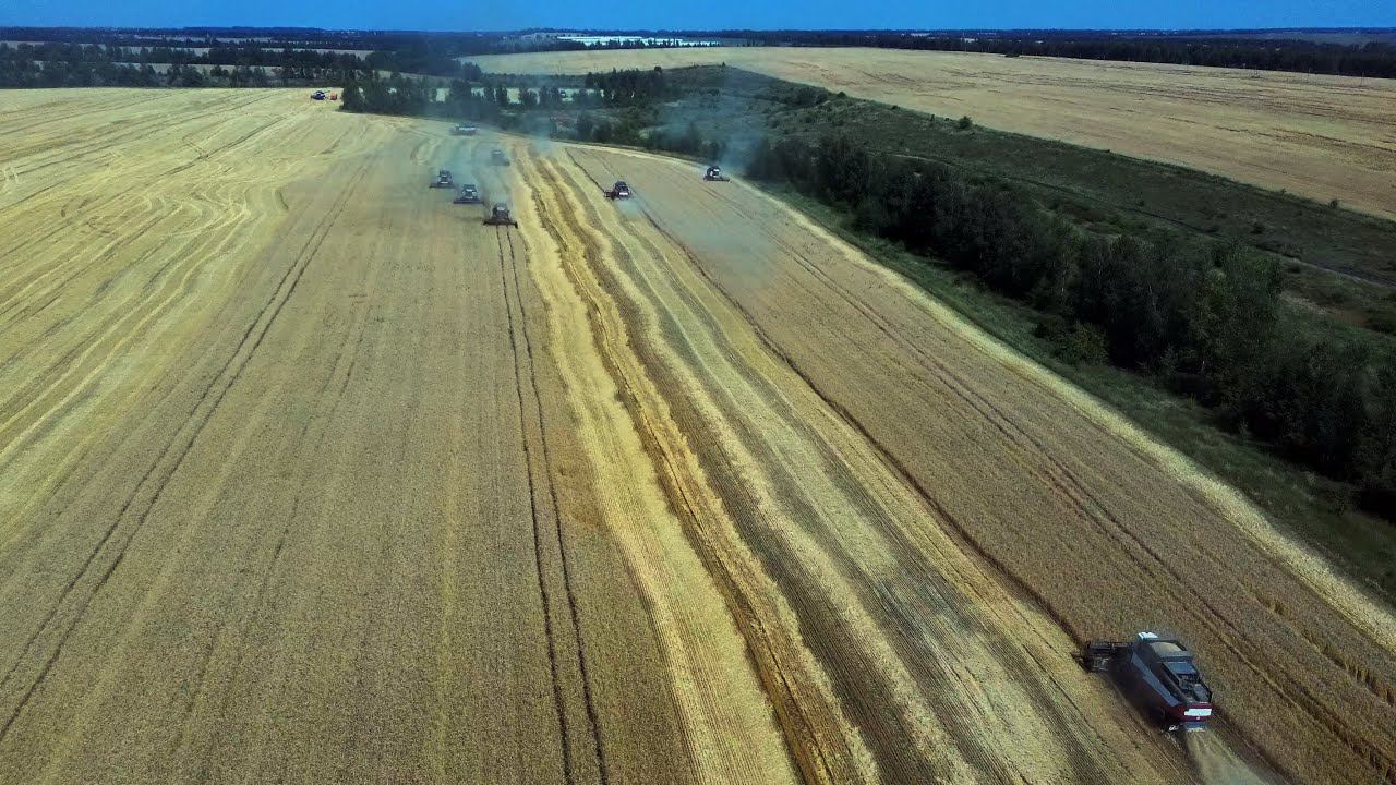 Harvest 2020 in Sukhaya Lubna. Урожай 2020 в Сухой Лубне.