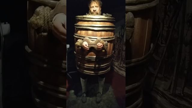 VID_20221228_194426_504.mp4