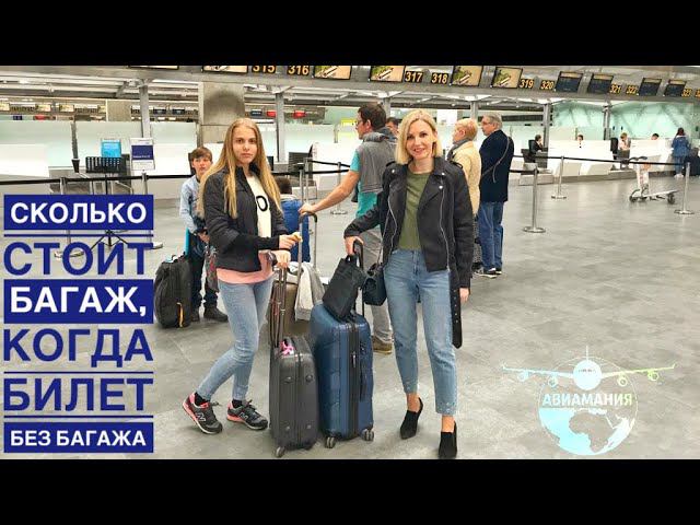 Сколько стоит багаж в самолете если билет без багажа |KLM |#Авиамания