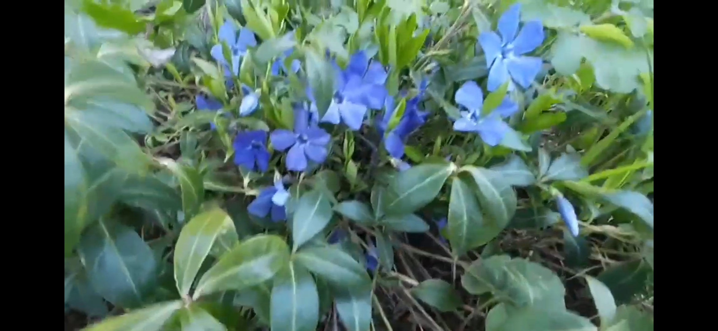 На даче 28 мая 2022 г. ??