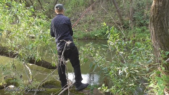Утром со спиннингом на р Проня. Щука. Окунь