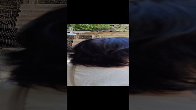 Часть не реставрированной стены Нарын-Кала.