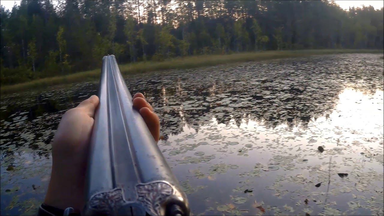 Удачные выстрелы. Летне-осенний сезон 2018. Сайга 12. ТОЗ БМ.