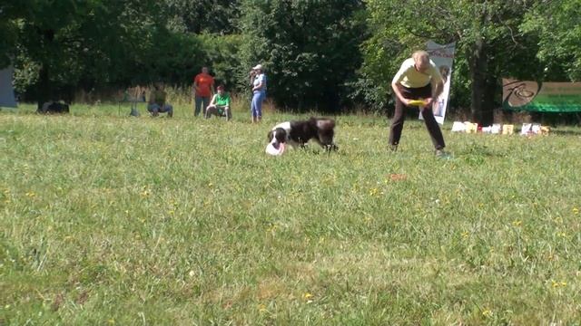 Фризби Фристайл Мария и Лайф.mp4