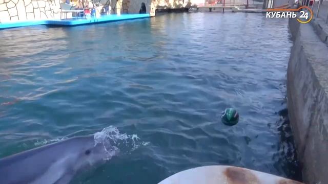 Анапа - самый солнечный город на черноморском побережье России _ Геолокация – отдых