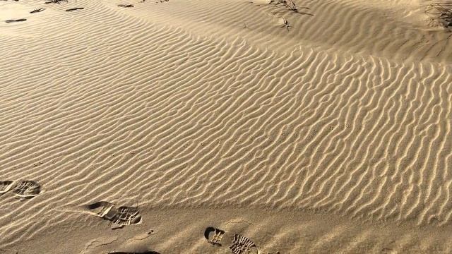 Бархан Сарыкум