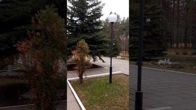 Санаторий Приднепровский Белоруссия