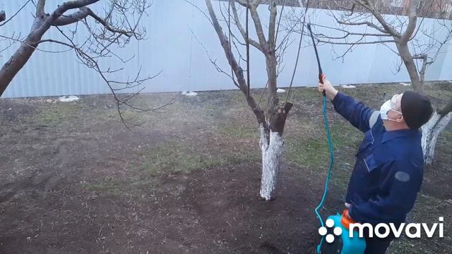 9-10.03.2023 г. Пиццерия. Посадили картофель, клубнику. Опрыскали деревья..mp4