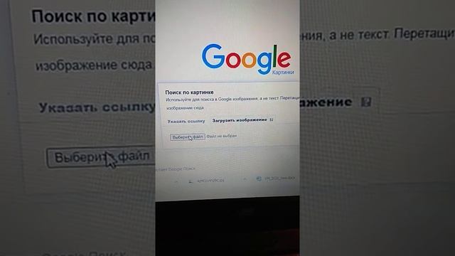 Как найти любую картинку в Интернете