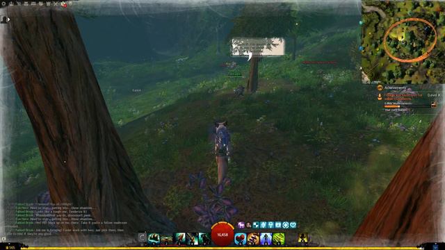 Lowland Shore - Forage, taste test for edible mushrooms, Mushroom King & Achievement (Guild Wars 2)