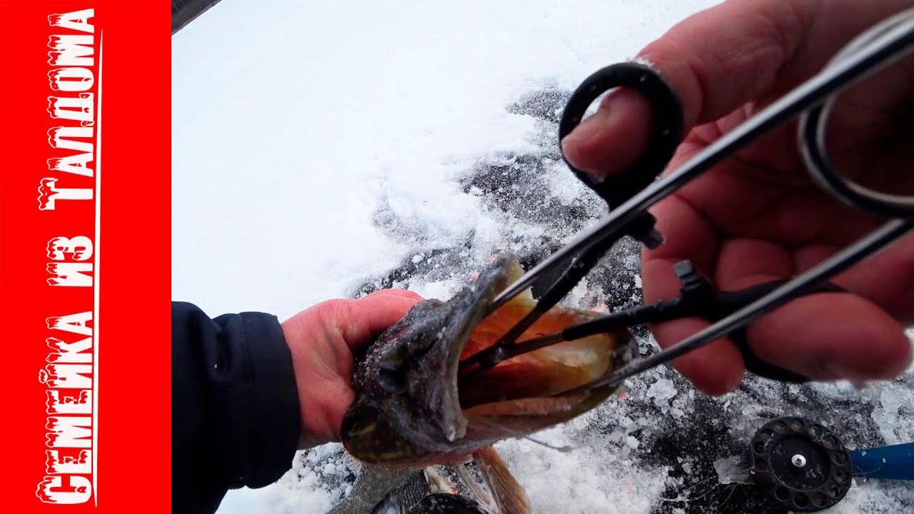 Рыбалка по первому льду ловим щуку на белого амура 21.11.2023