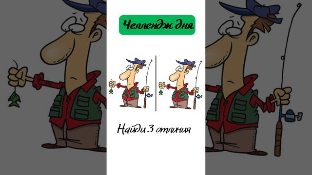 Найди отличия 33