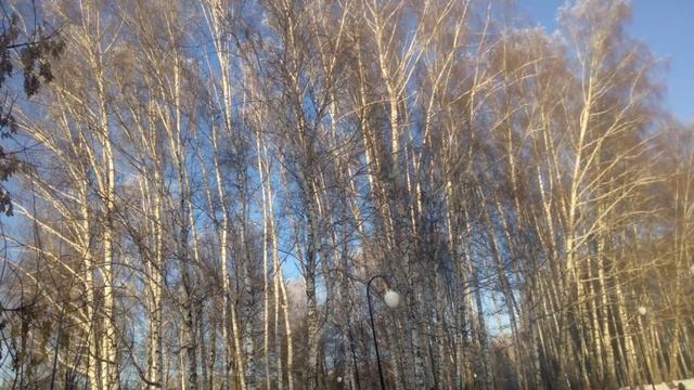 Зимняя СКАЗКА. Гуляю по парку в морозную погоду