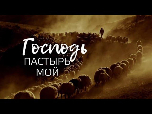 19.16 По страницам Библии - лекции доктора Мак Ги по книге Псалтирь