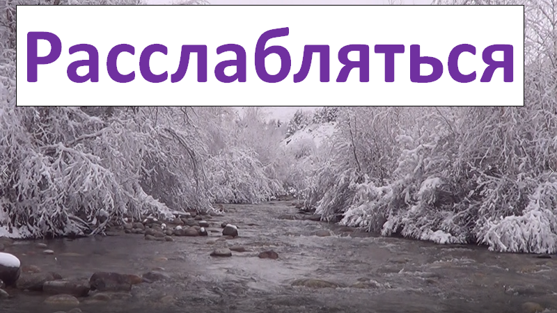 Подарок природы для поднятия настроения. Горная река и снежный лес для глубокого сна
