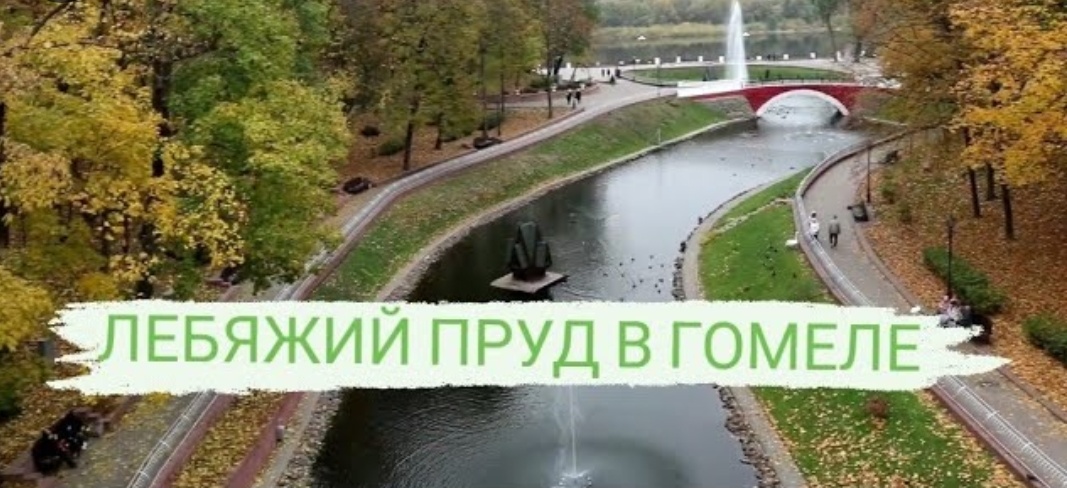 Живописный Лебяжий пруд в Гомеле?