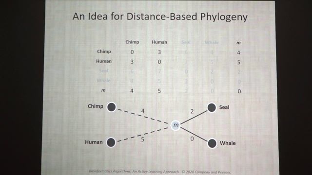 Введение в биоинформатику | Кира Вяткина. Лекция 7