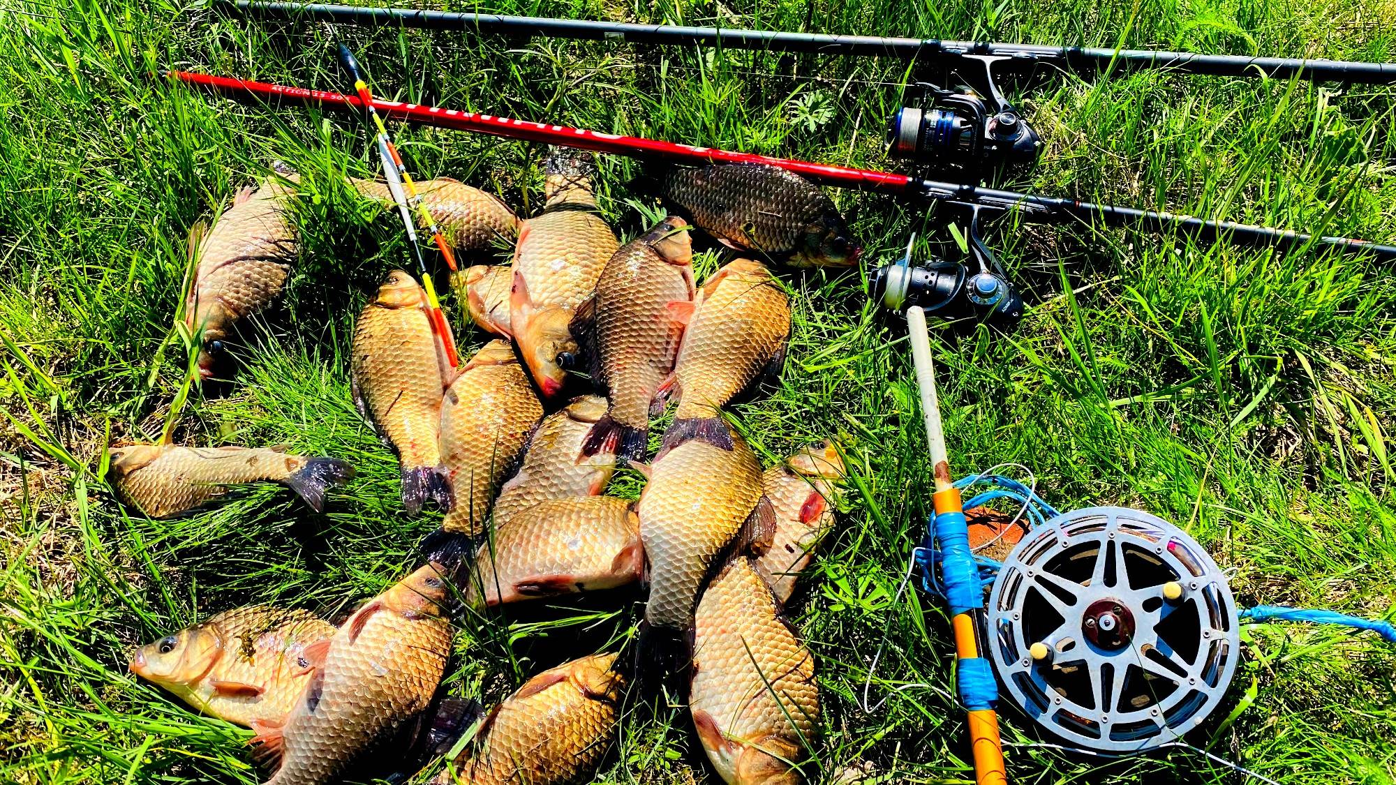 КАРАСИ ЛАПТИ на БУТЕРБРОД  Ловля карася как в детстве на поплавочную удочку