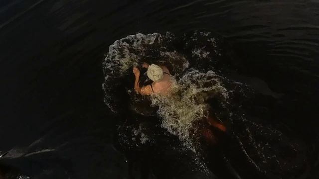 2023 Финский залив