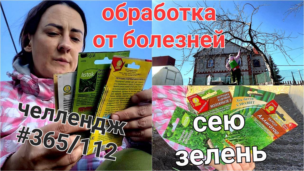 Челлендж 365#112/Ежедневные влоги весь год/Обработка деревьев и кустарников от болезней. Сею зелень