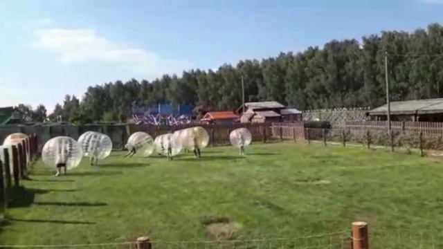 Бампербол в «Диких белках»