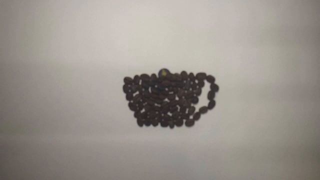 15 секунд из жизни мячика