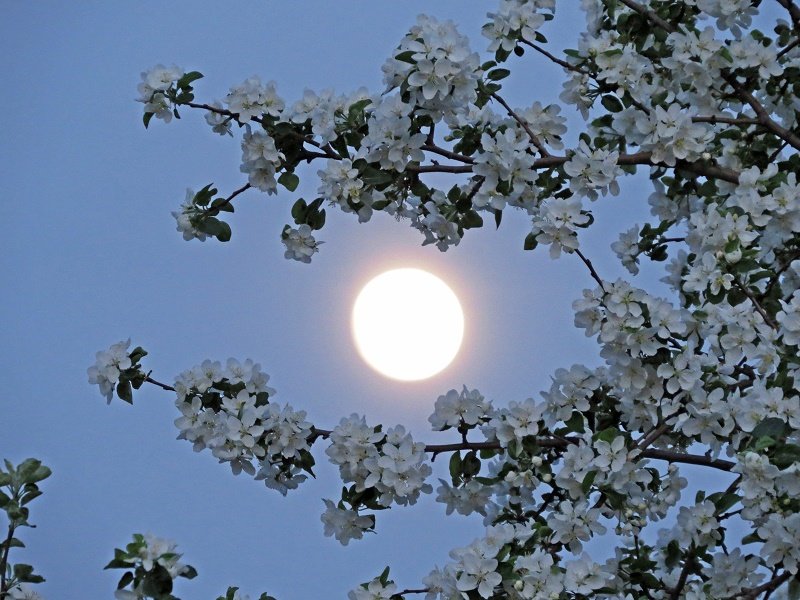 Весной всё видится иначе