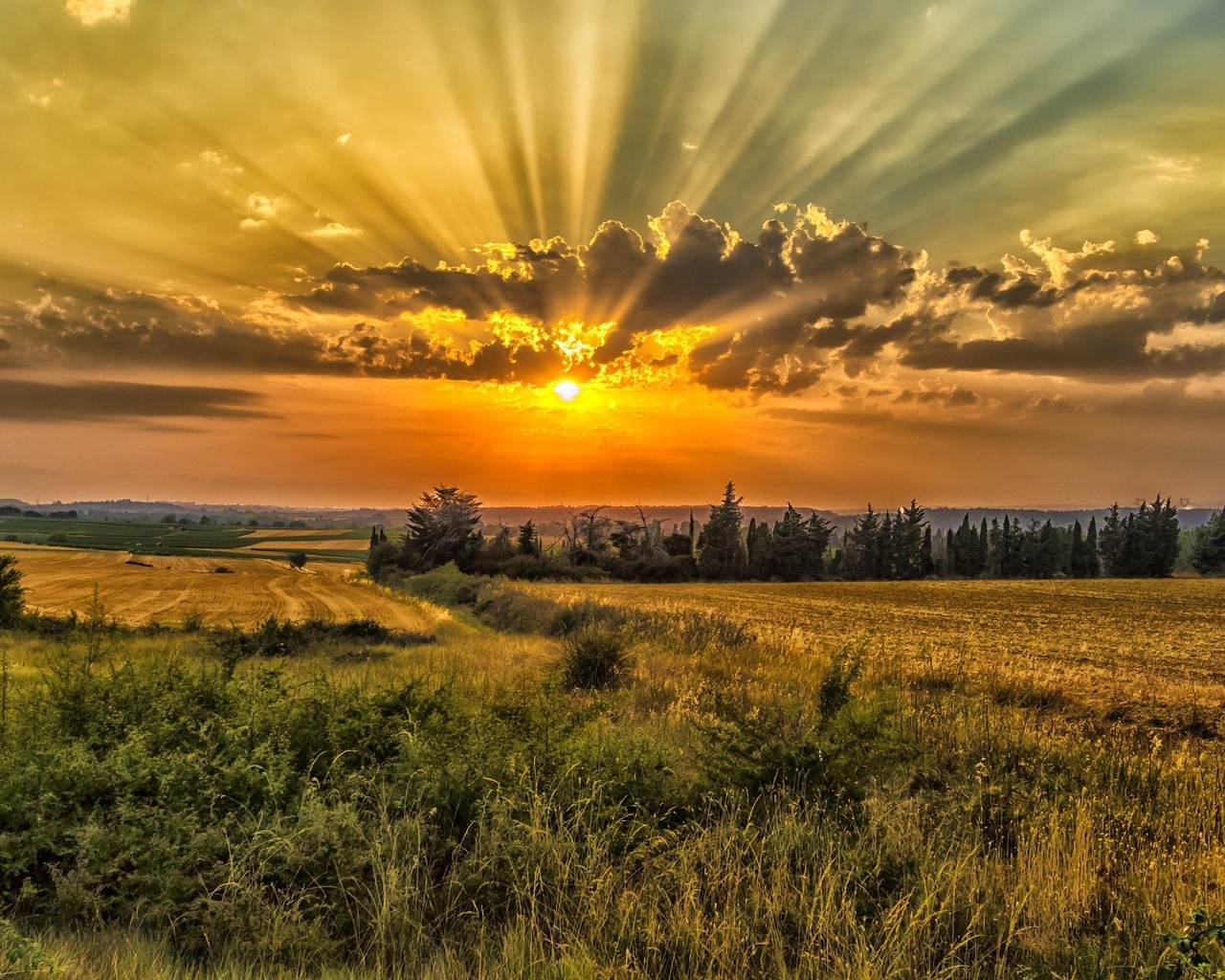 За переселение в Сибирь казна выдавала немалые деньги. С бору по сосенке №30.