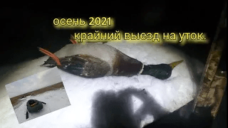 Охота на уток. Крайний выезд 2021 года.