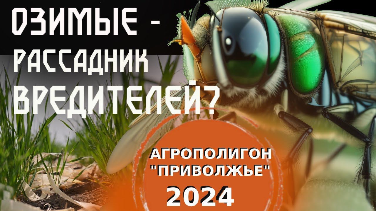 Этот сезон запомнится растениеводам Поволжья!