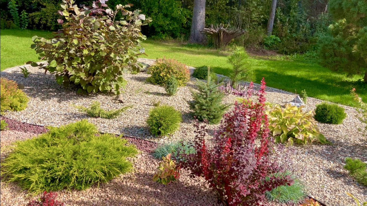 ОСЕННИЕ ПЕРЕСАДКИ. КЛУМБА С РОЗАМИ / РОКАРИЙ. Дачный креатив.