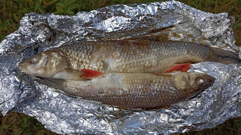 Приготовление голавлей на углях костра
