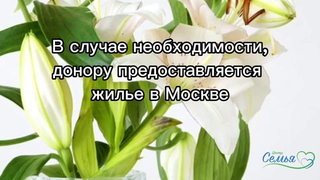 Этапы программы донорства яйцеклеток для донора