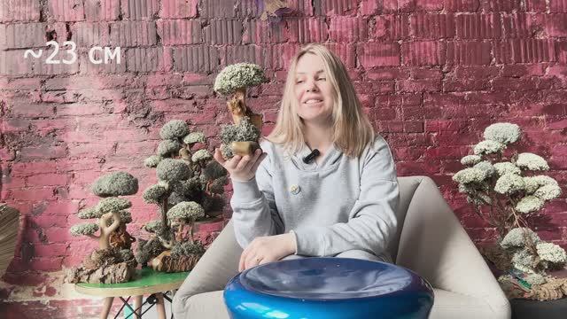 САМЫЕ КРАСИВЫЕ ДЕРЕВЬЯ НА ПЛАНЕТЕ