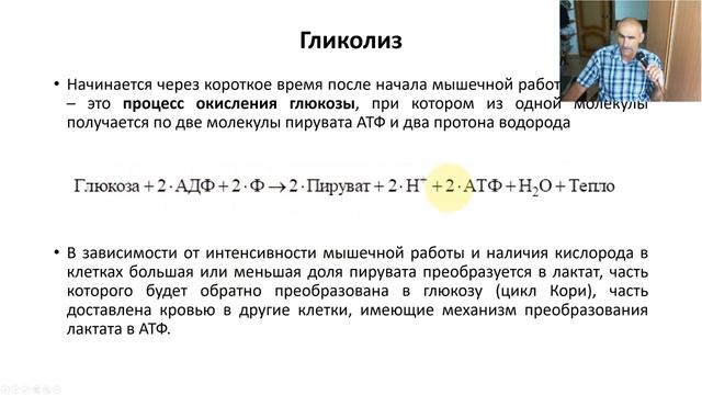 Раздел 5. Строение и функционирование мышцы