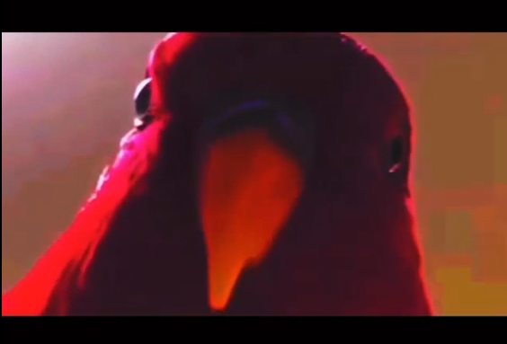 ЭПИЧНЫЙ ПОПУГАЙ