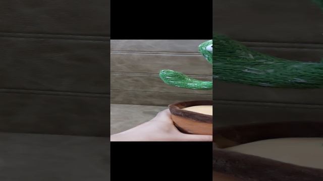 кактус поющий