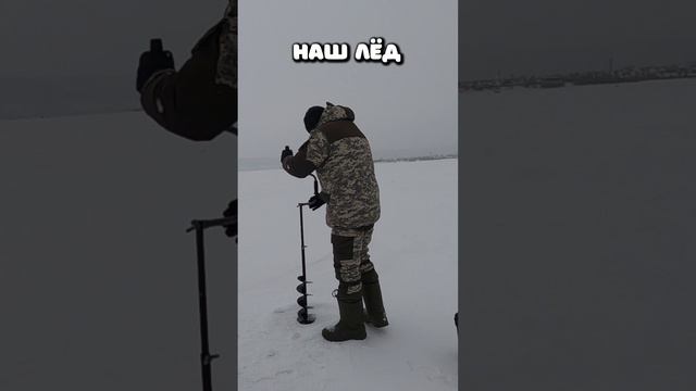 Наш лёд. Shorts