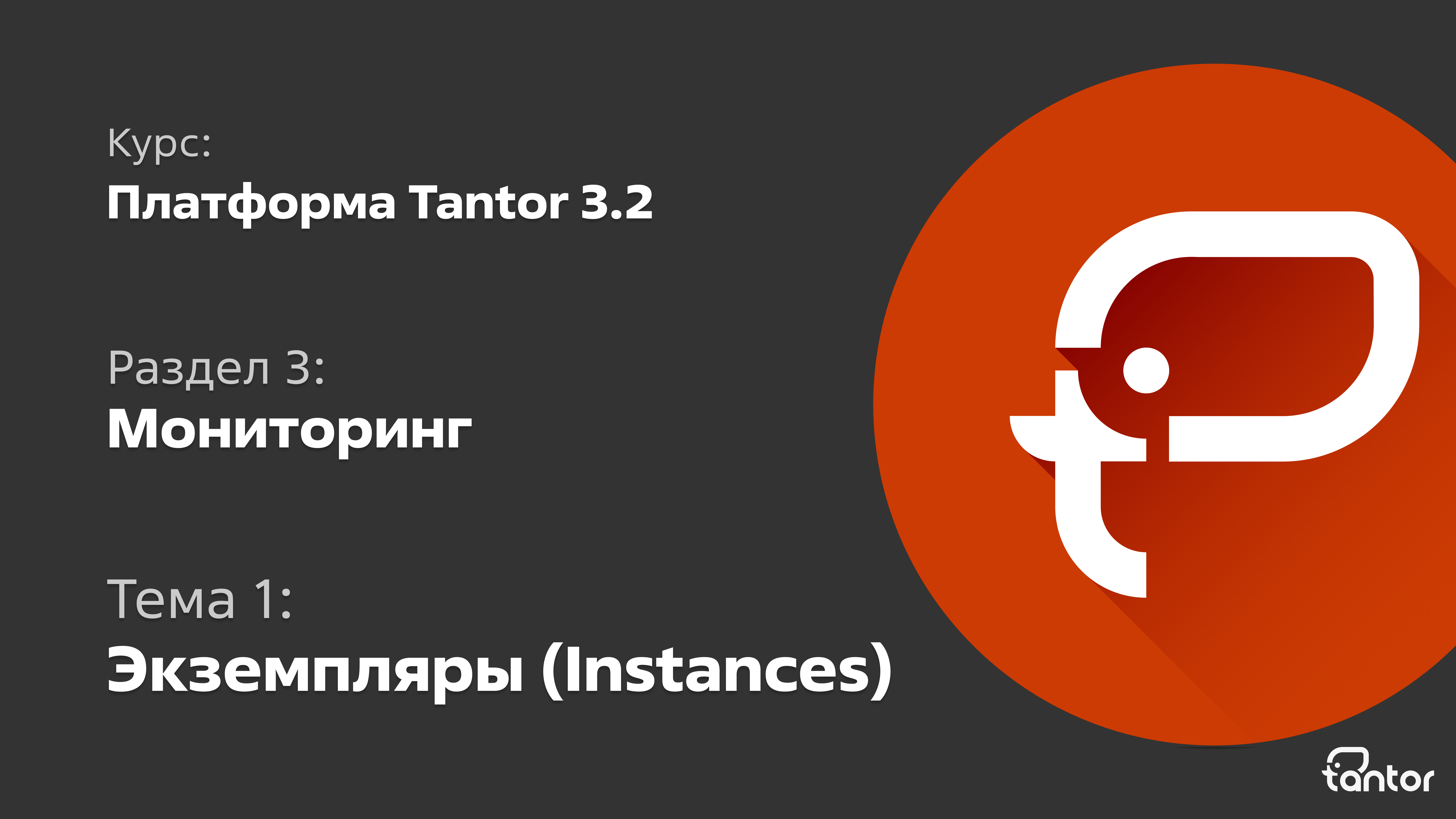 3 раздел. Тема 1: ЭКЗЕМПЛЯРЫ (INSTANCES)