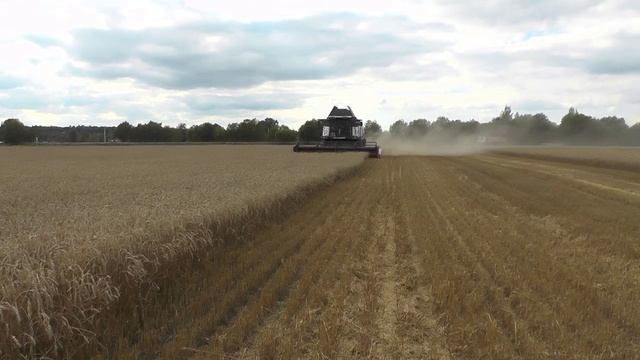 Комбайн зерноуборочный самоходный РСМ-161.mp4