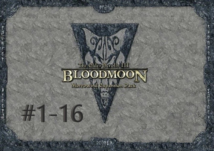 TESIII Bloodmoon #1-16 Беспорядки в Баре (Воронья Скала).mp4